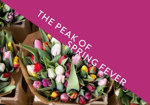 The Peak of Spring Fever | Southlands