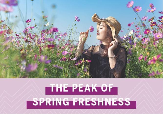 The Peak of Spring Freshness | Southlands