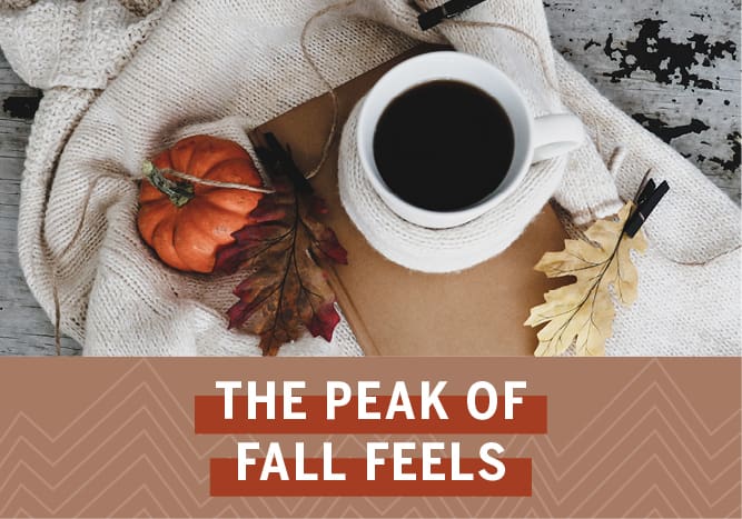 The Peak of Fall Feels | Southlands